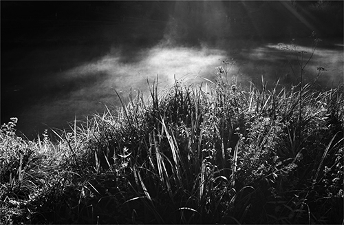 Monochrome Images – Dinah Jayes Photography